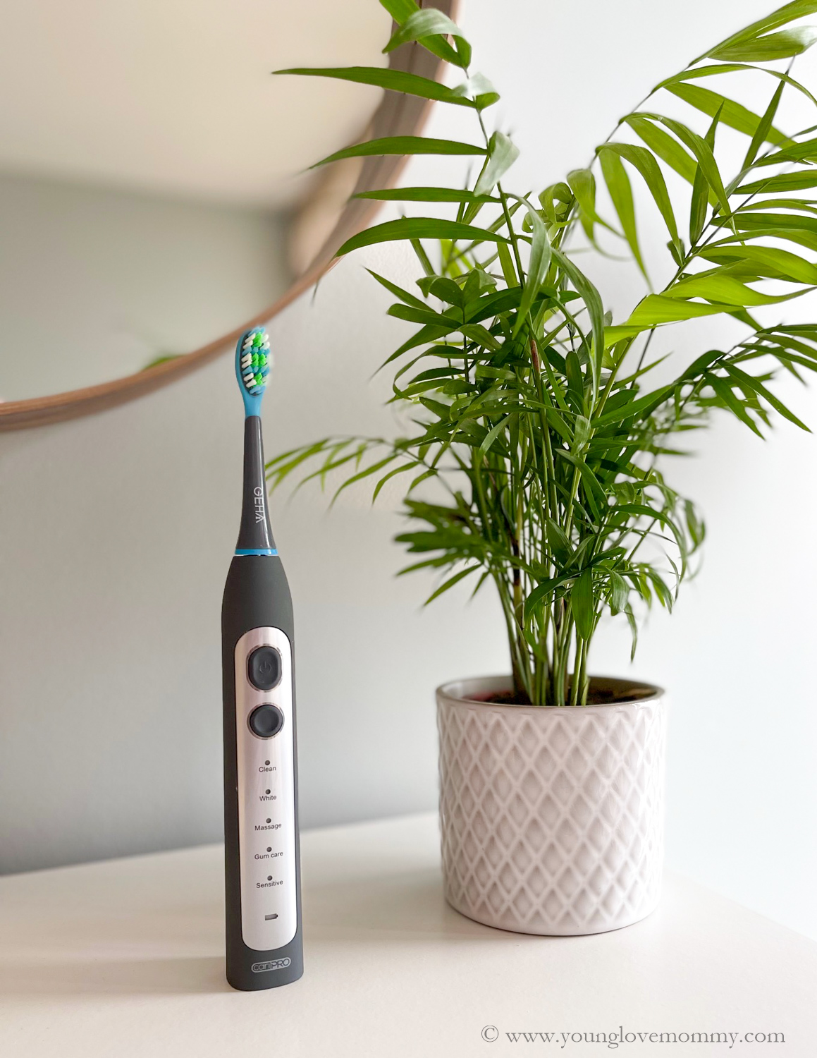 Smile Brilliant Electric Toothbrush Giveaway and Review